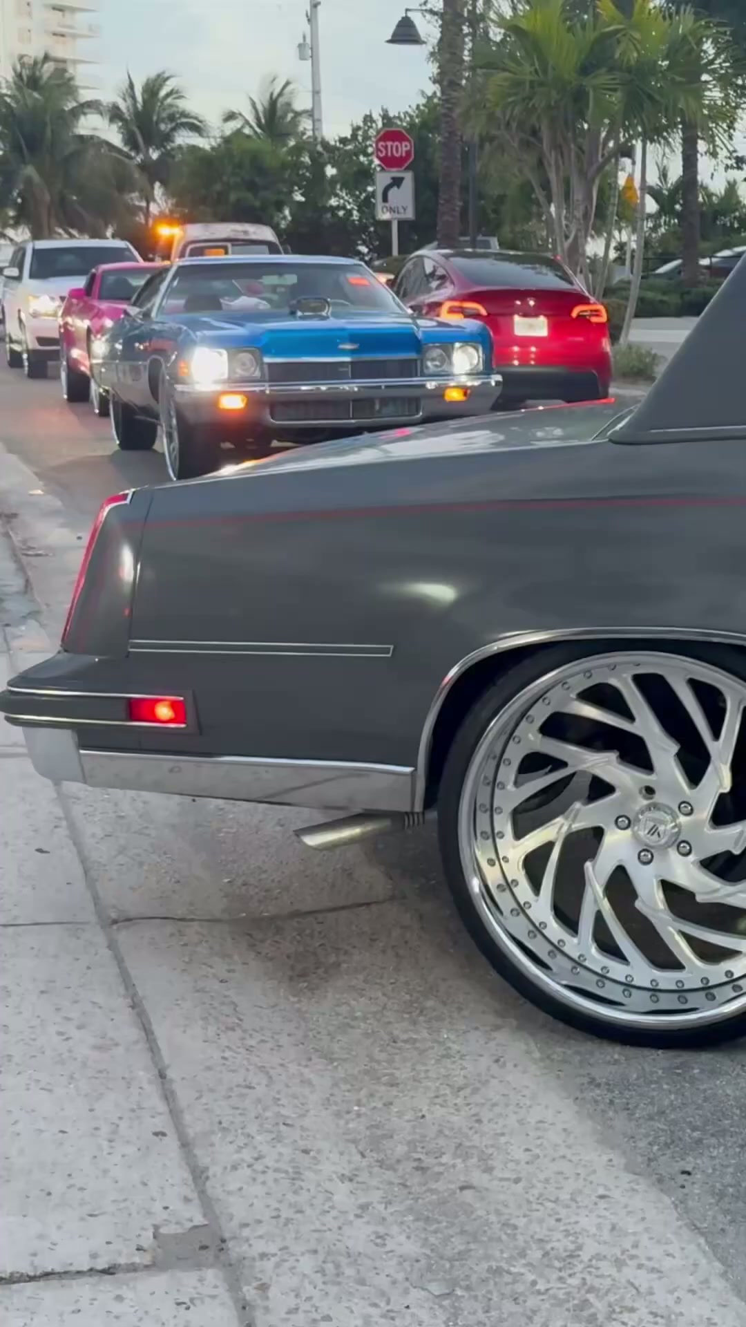 Lauderdale spring break ride out