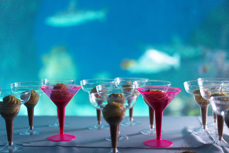 ‘Kisses and Fishes’: Loveland Living Planet Aquarium to host Valentines ...