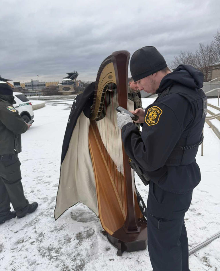 $30K harp recovered after man jumps in Allegheny River