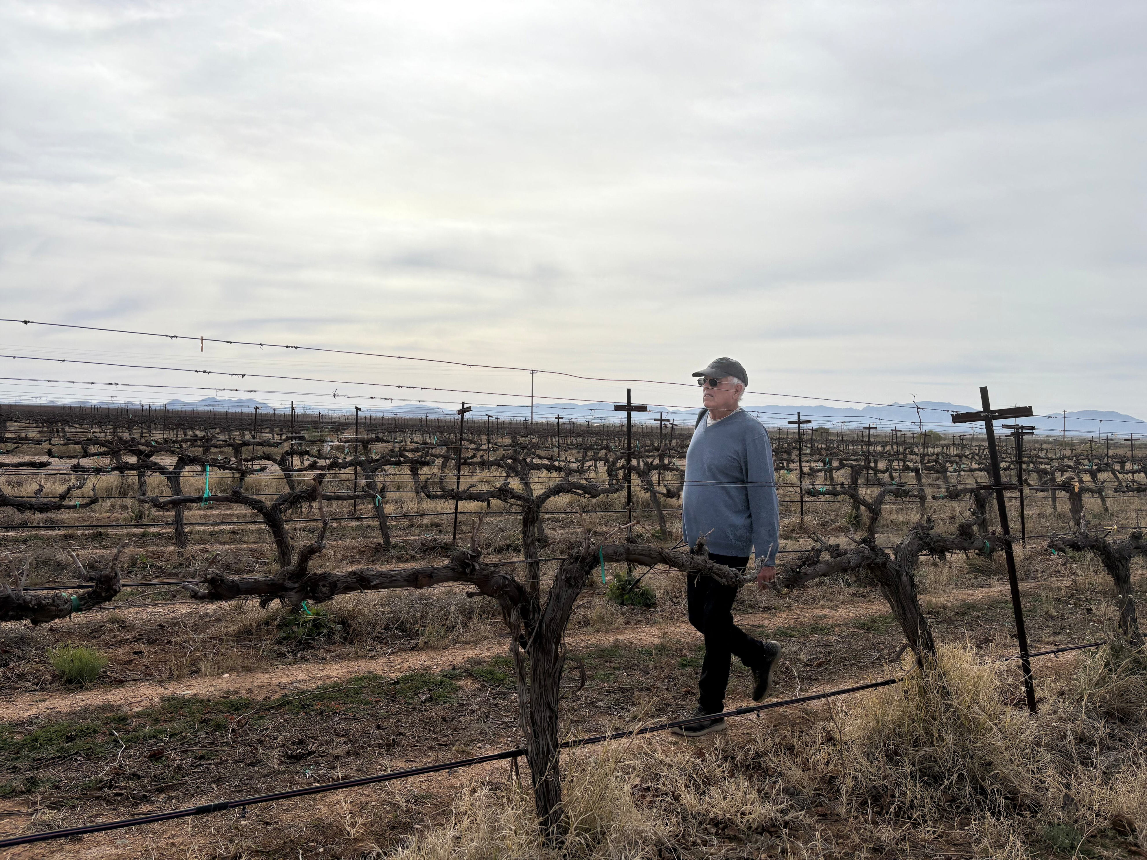 Vineyard owner plans to retire after changing Arizona wine-making
