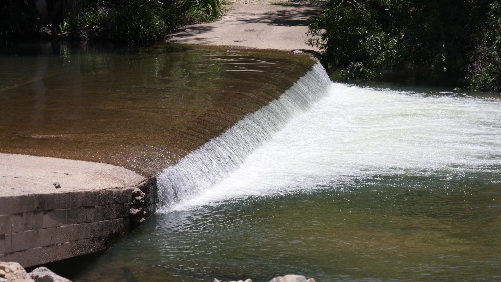 Townsville mother says she warned authorities before suspected ...