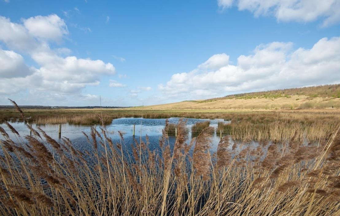 Big Garden Birdwatch Weekend: Nine locations to spot Leeds rarest (and ...