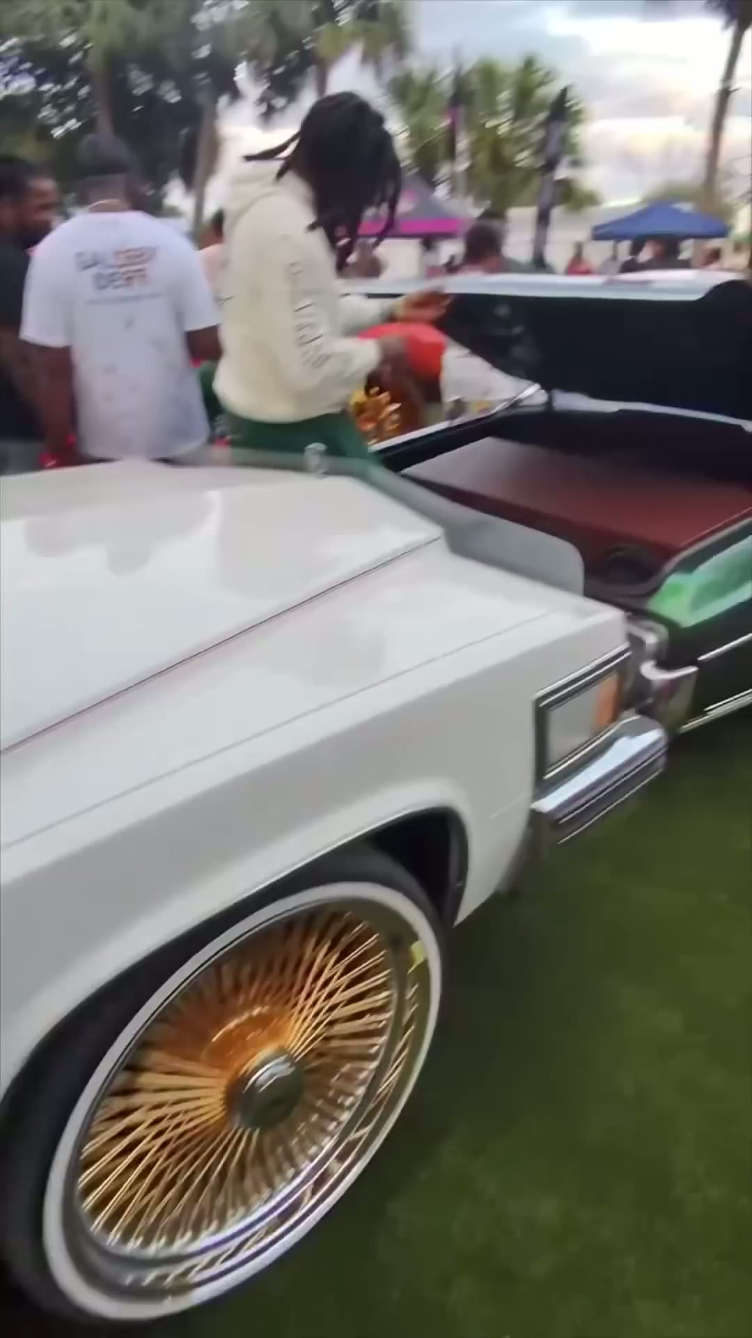 Backyard BBQ Carshow