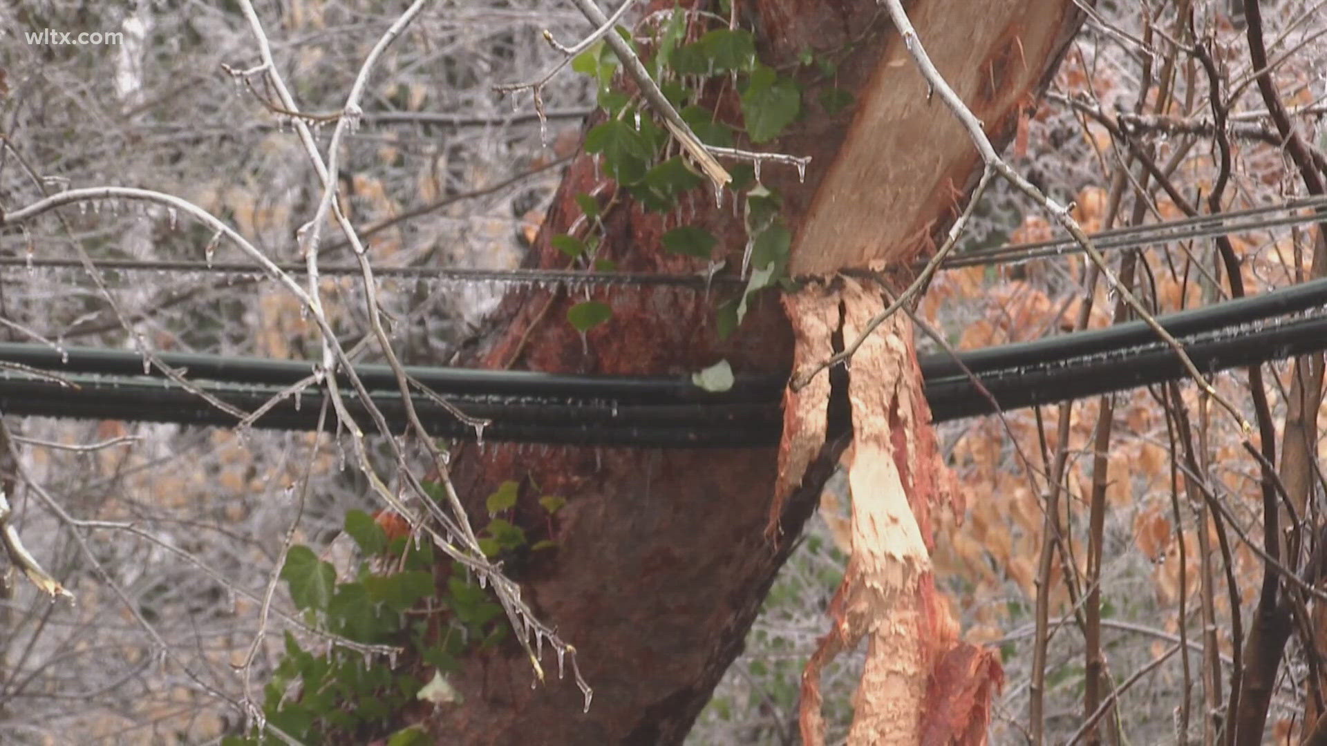 Looking back at the ice storm of 2014 in South Carolina