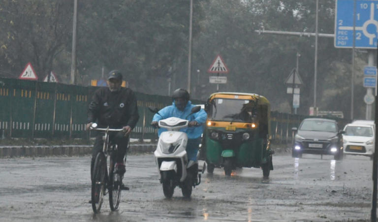 Rain in Chandigarh, vicinity brings down temperature