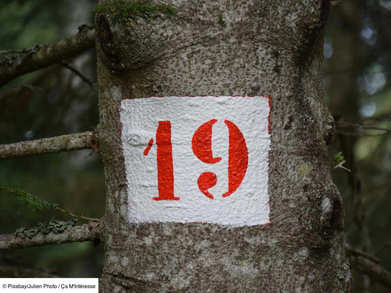 « 19 ou dix-neuf ? » : quand faut-il écrire les nombres en lettres