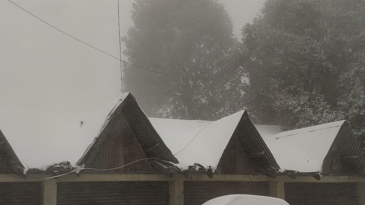 Fresh snowfall in Shimla ends long dry spell, brings relief to all