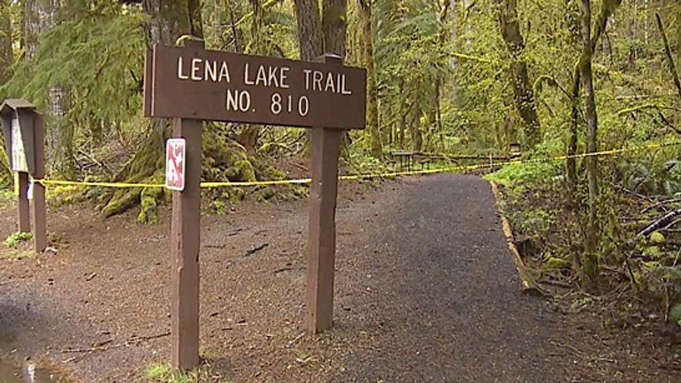2 women killed by falling tree while hiking in Olympic National Forest