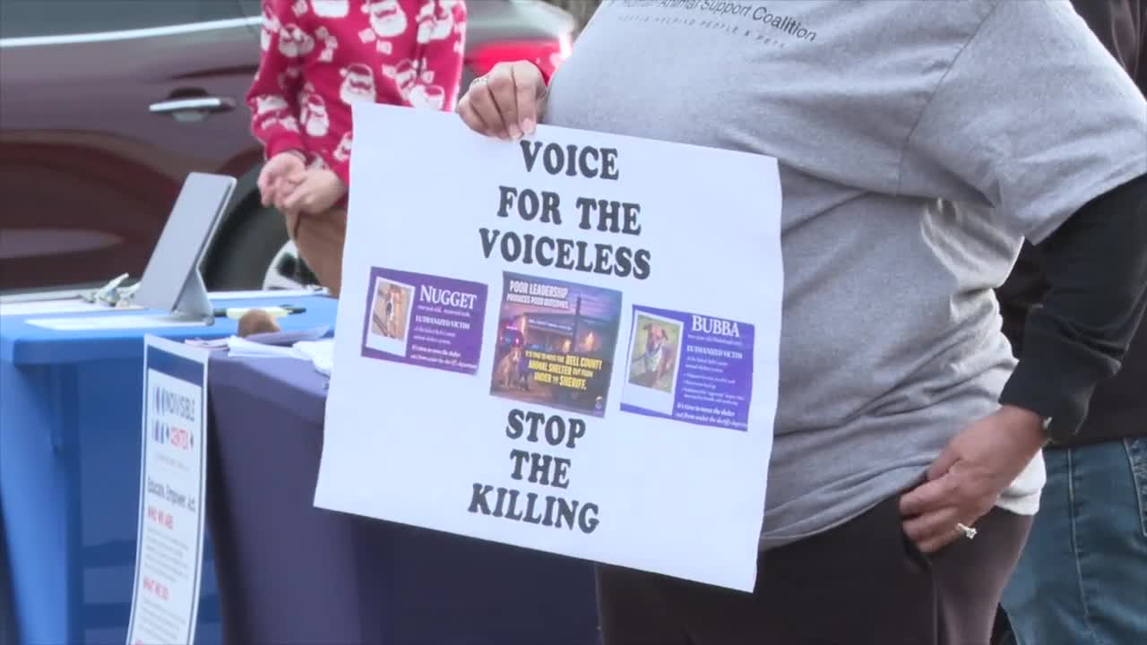Bell County residents demand no-kill shelter after nearly 1,000 animals ...