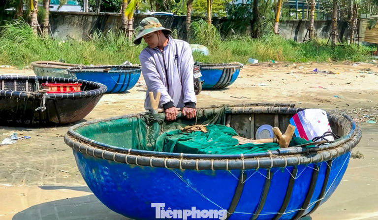 Săn tôm hùm giống ngày cận Tết, ngư dân Đà Nẵng thu tiền triệu mỗi ngày