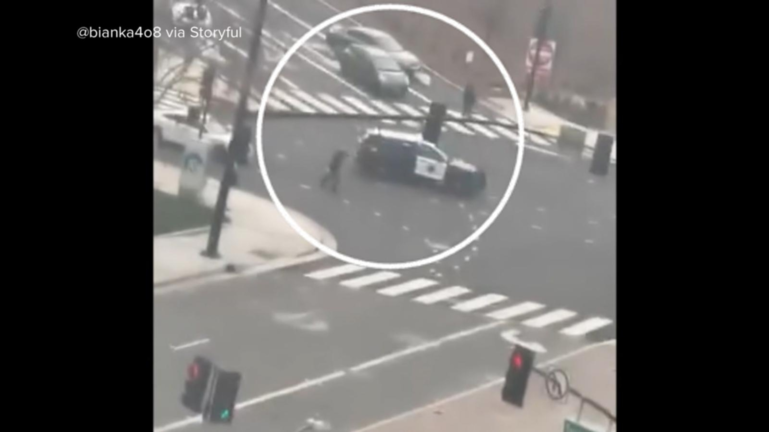 California carjacking suspect leads authorities on high-speed chase