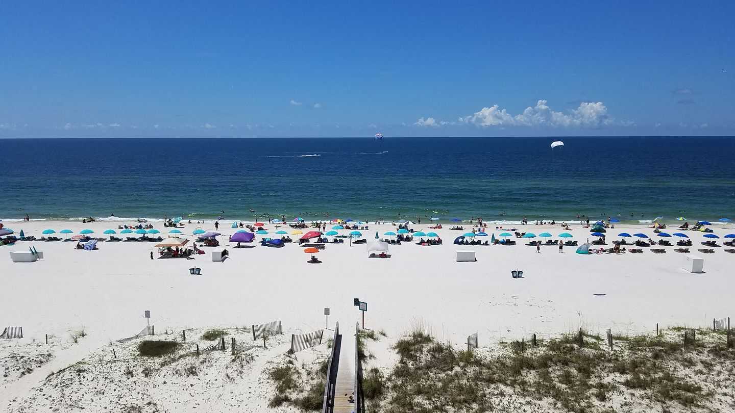 House committee advances 'Lulu’s Law' to allow shark attack alerts on a ...