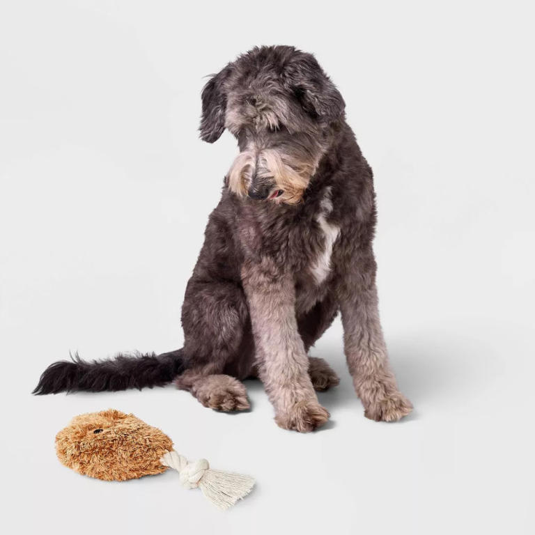 Pet parents are racing to grab Target's $4 'cute' and 'silly' playtime gem