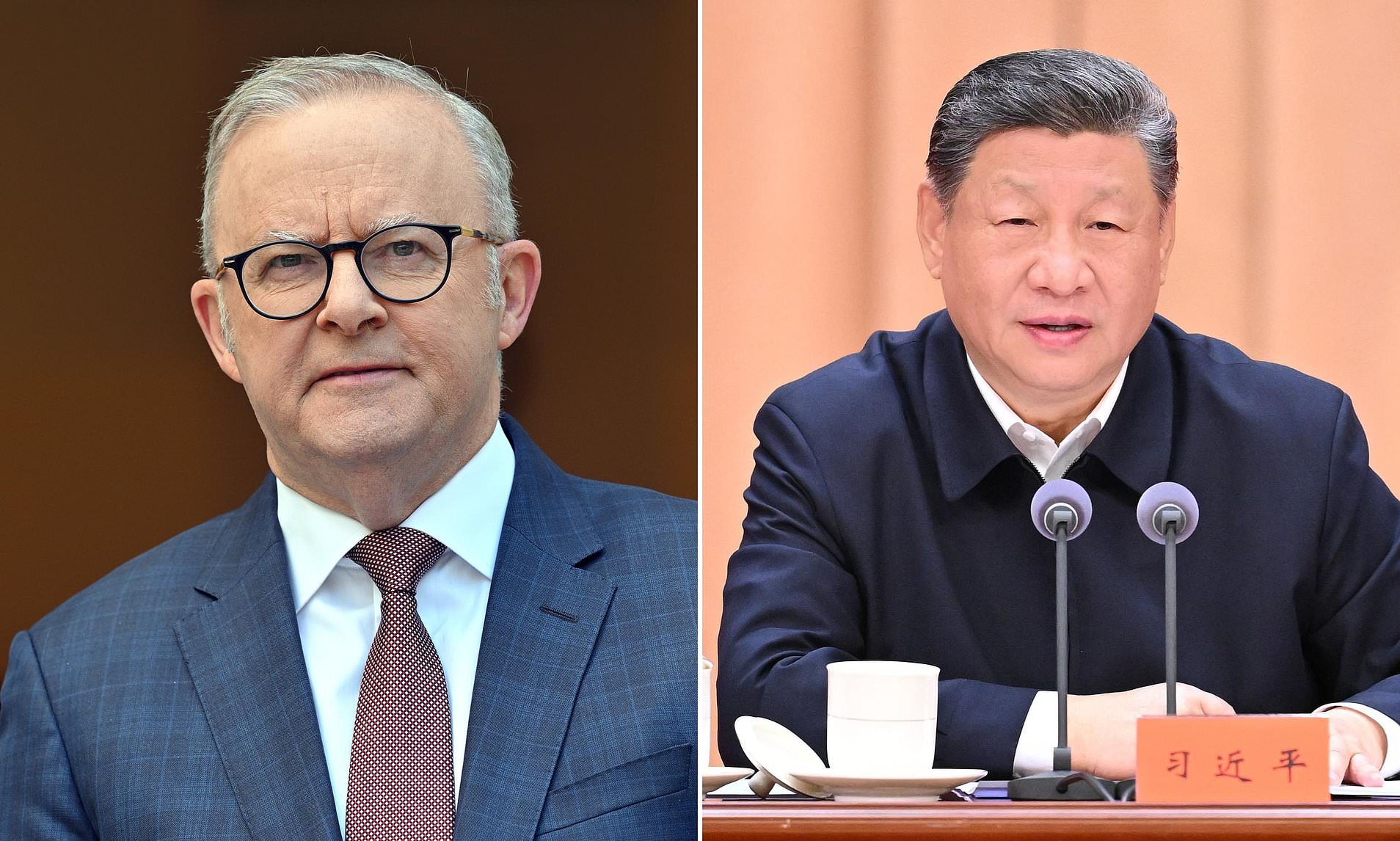 Albanese government prepares to take on China as trade tensions flare