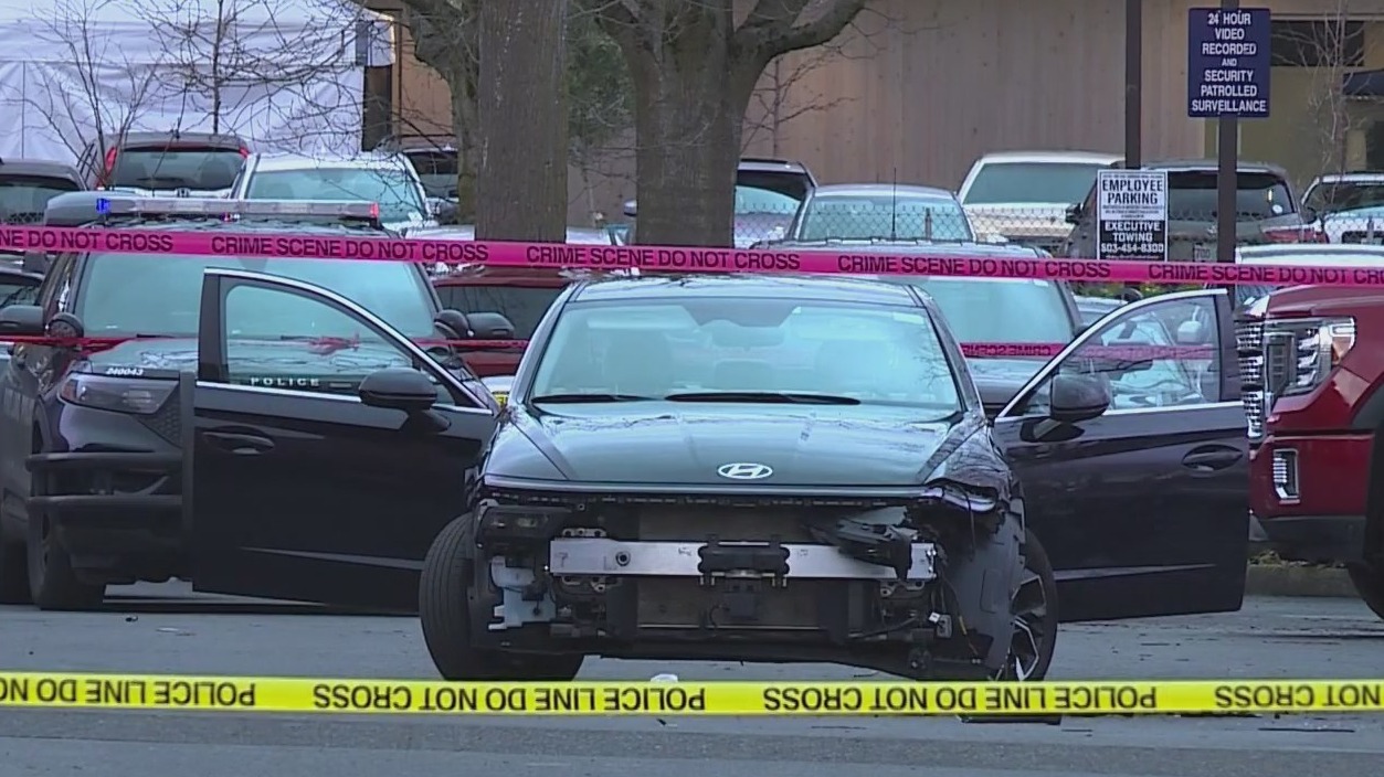 Woman shot by Border Patrol agents in Portland pleads guilty improper ...