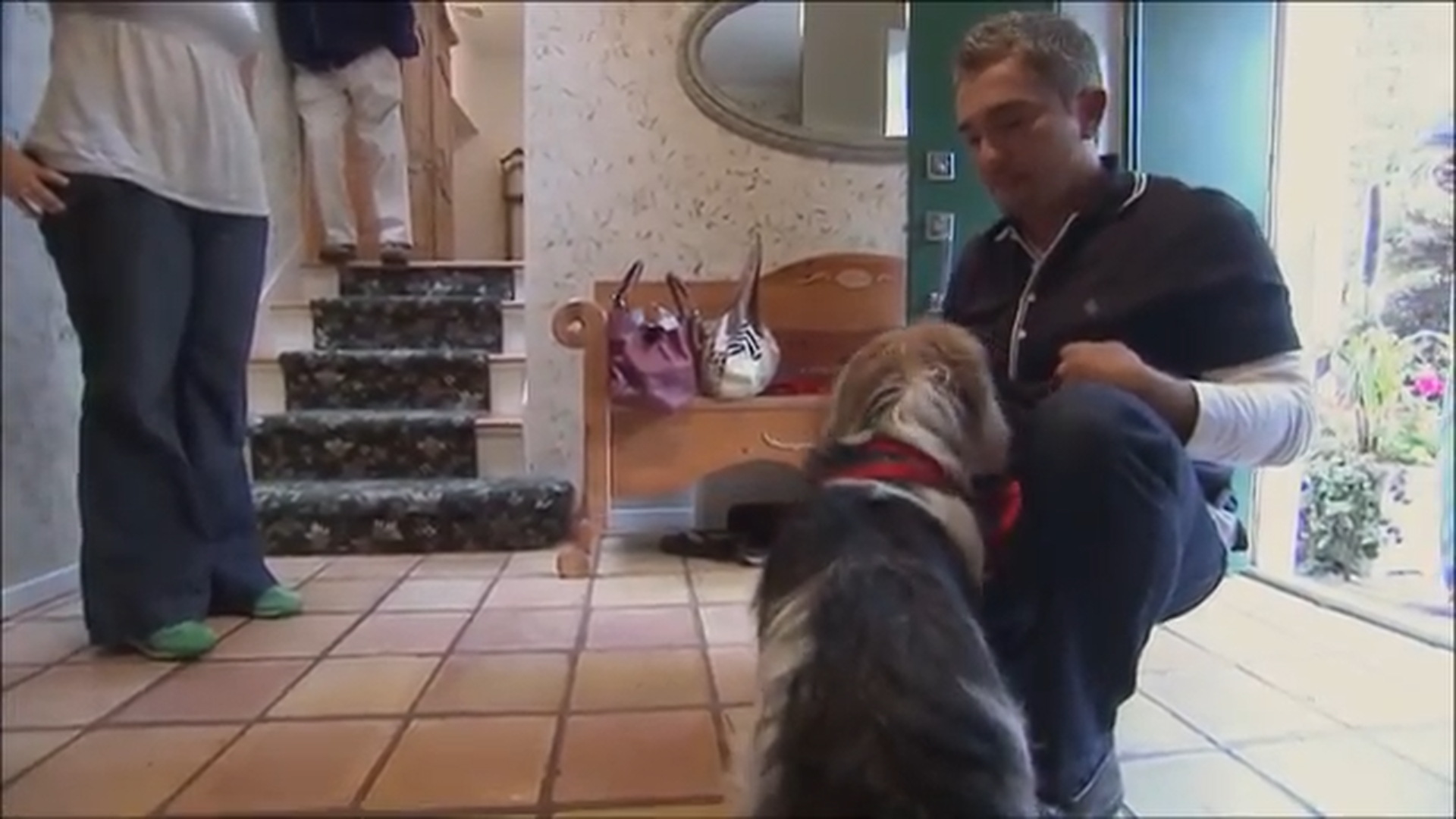 What bizarre object terrifies this dog? Cesar Millan uncovers the truth