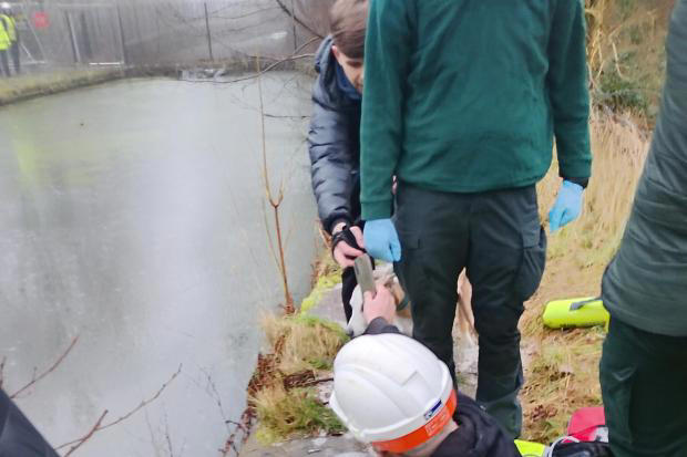 Quick-thinking hero saves pensioner after she slips onto frozen canal