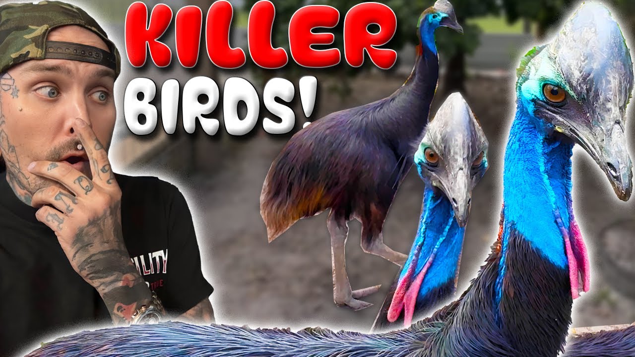 When trust is tested inches from razor-sharp claws