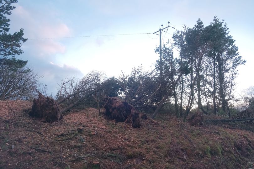 Hundreds of Cornwall homes still without broadband after storm Goretti