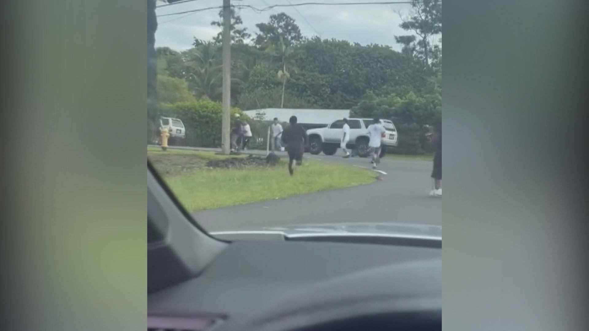 Police release new details about large Hilo brawl