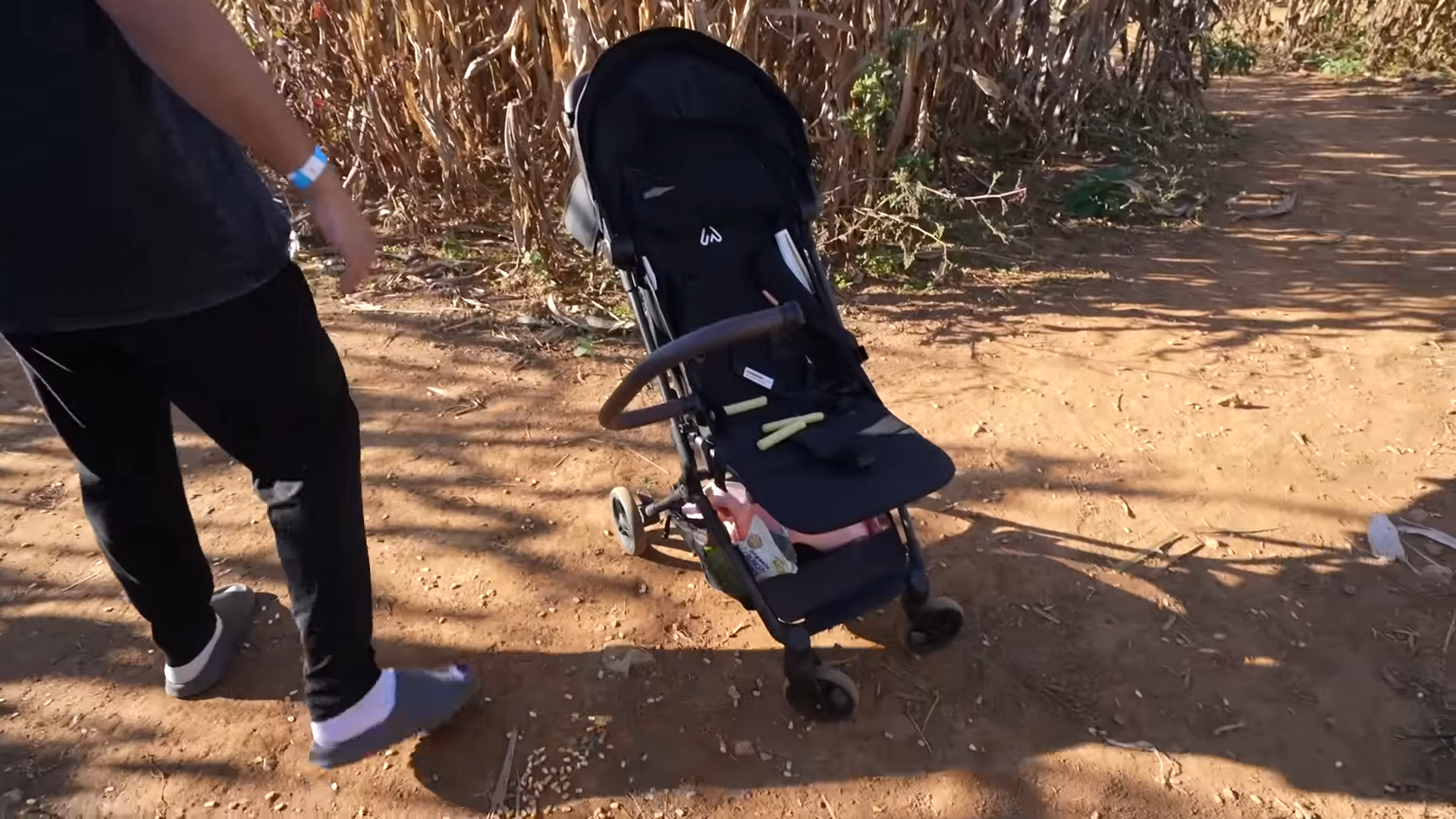 We were walking the corn maze... and our baby disappeared