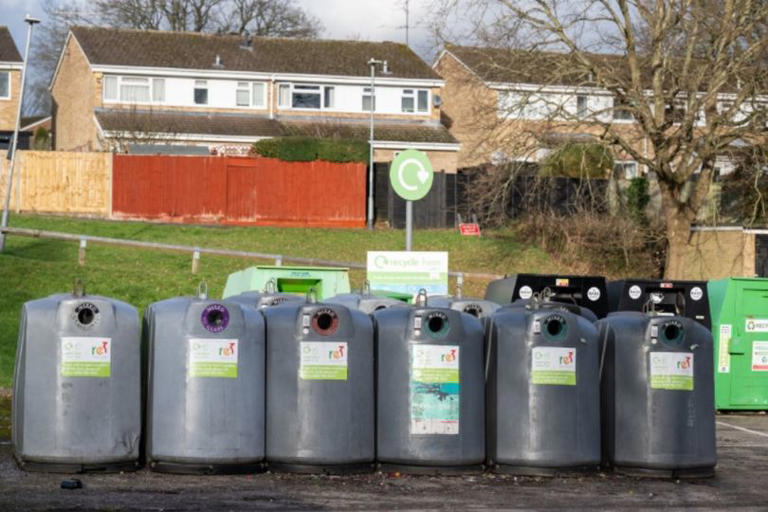 I've been fined £600 by council after putting cardboard box next to ...