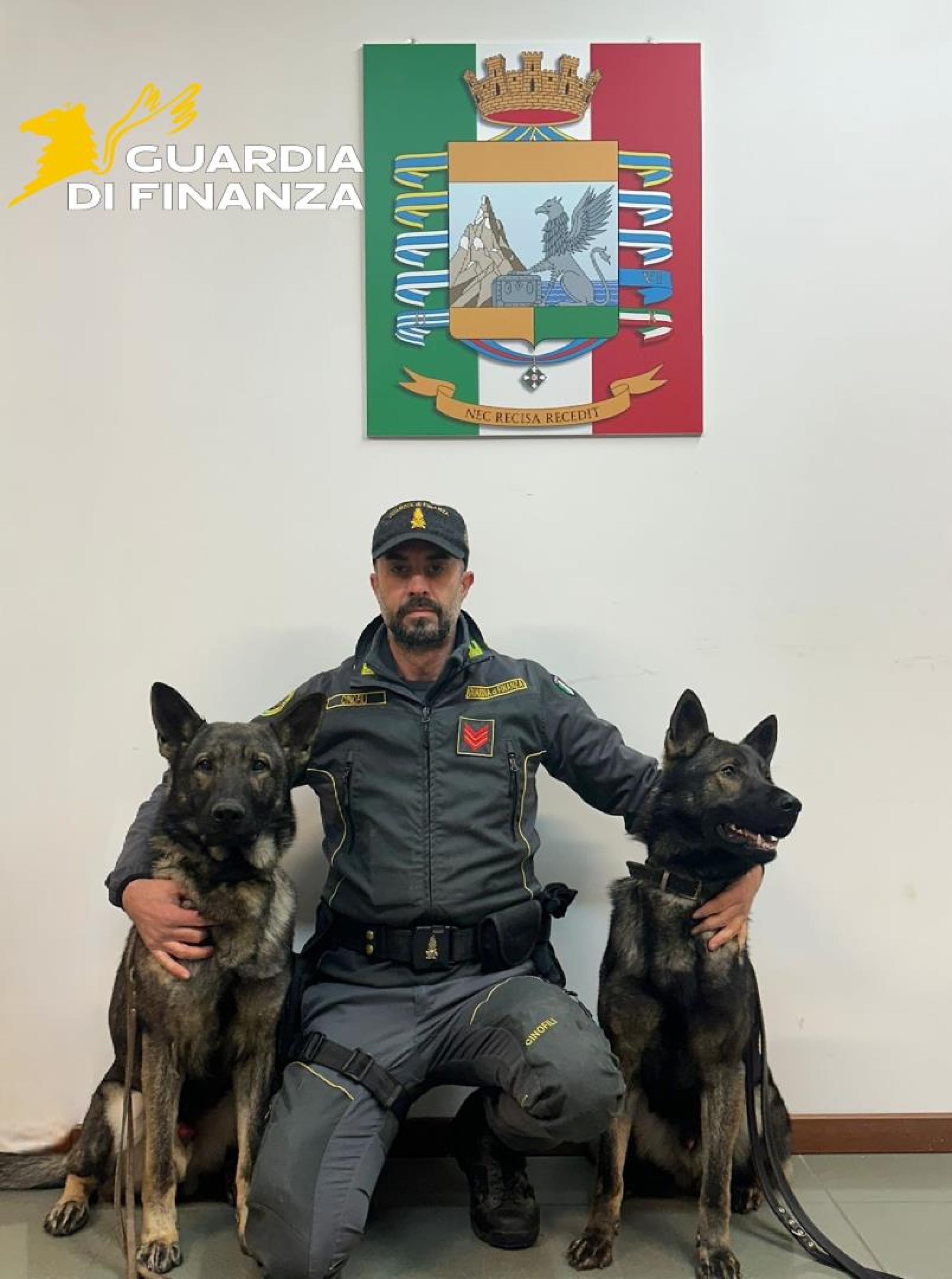 Guardia di Finanza nel Piceno, arrivano i nuovi canti anti-droga Nasly ...