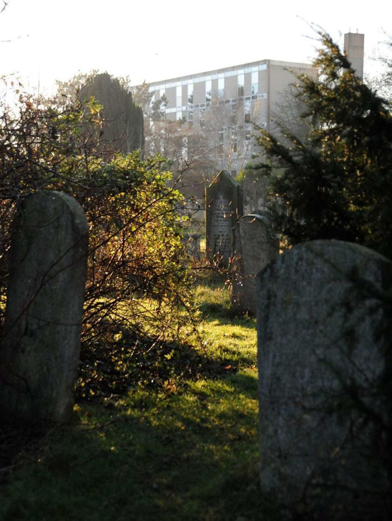 Photography: Want to see your picture of Cambridge in print? Send it in