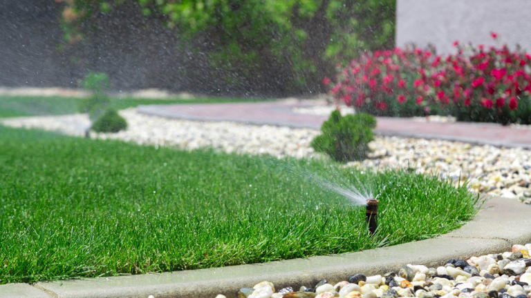 Winter storms are coming — drain your sprinkler system now before it ...