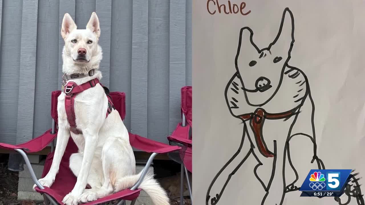 Bad art for a good cause; animal shelter makes ugly pet portraits to ...