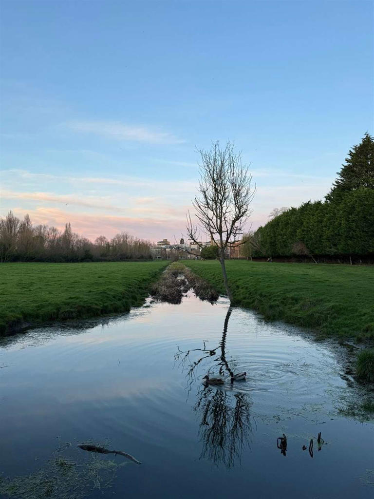 Photography: Want to see your picture of Cambridge in print? Send it in