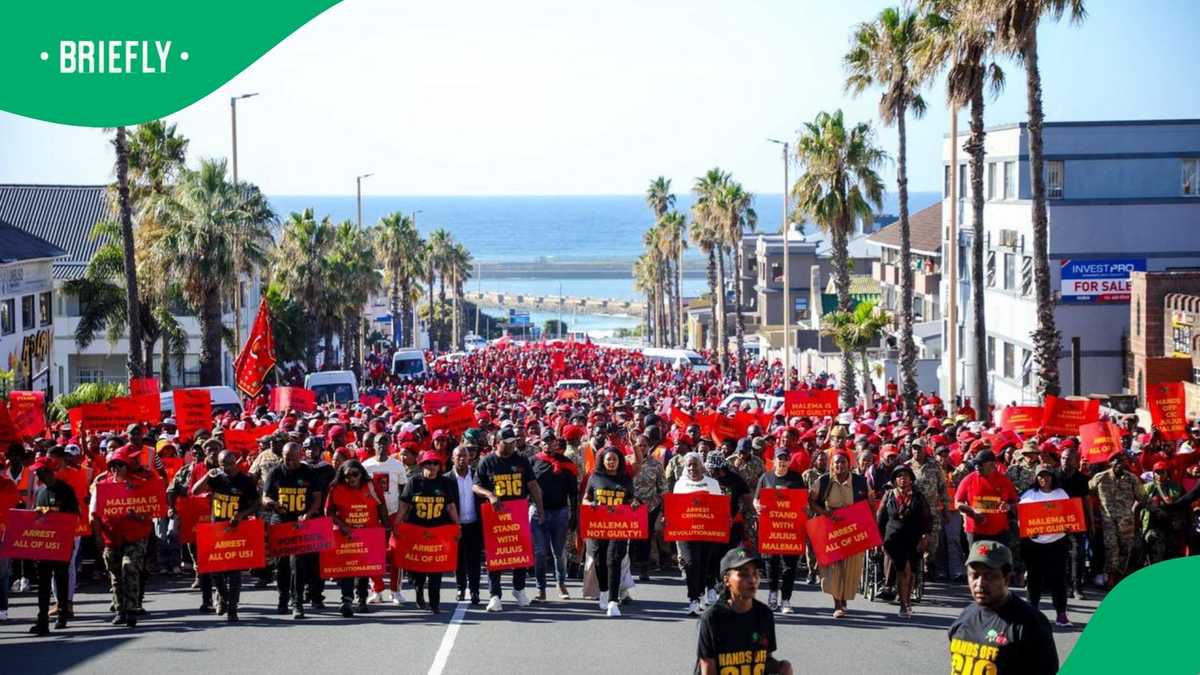 Julius Malema pre-sentencing: Security tightened outside East London ...
