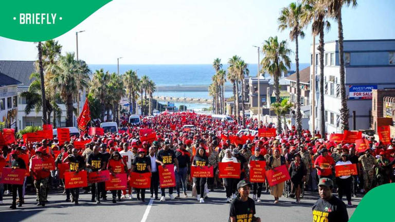 Julius Malema pre-sentencing: Security tightened outside East London ...