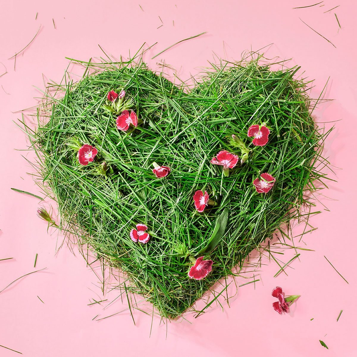 When you know, you know: 12 real-life love stories that will make your ...