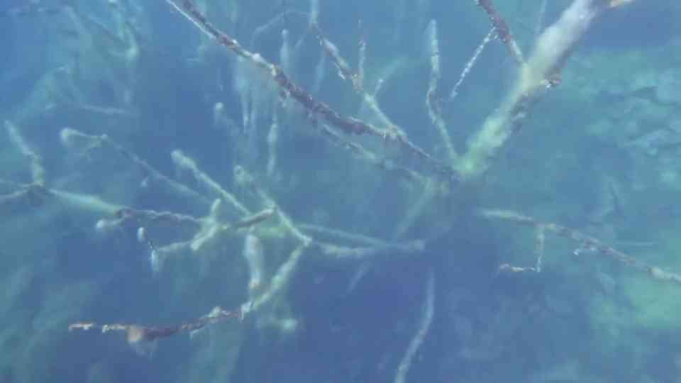 We found the secret underwater tunnels, hiding an F-350 truck