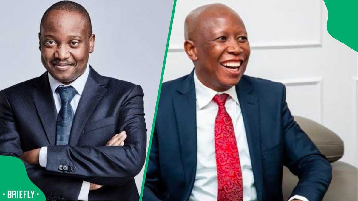 Julius Malema's conviction: Tabane raises alarms over court ...