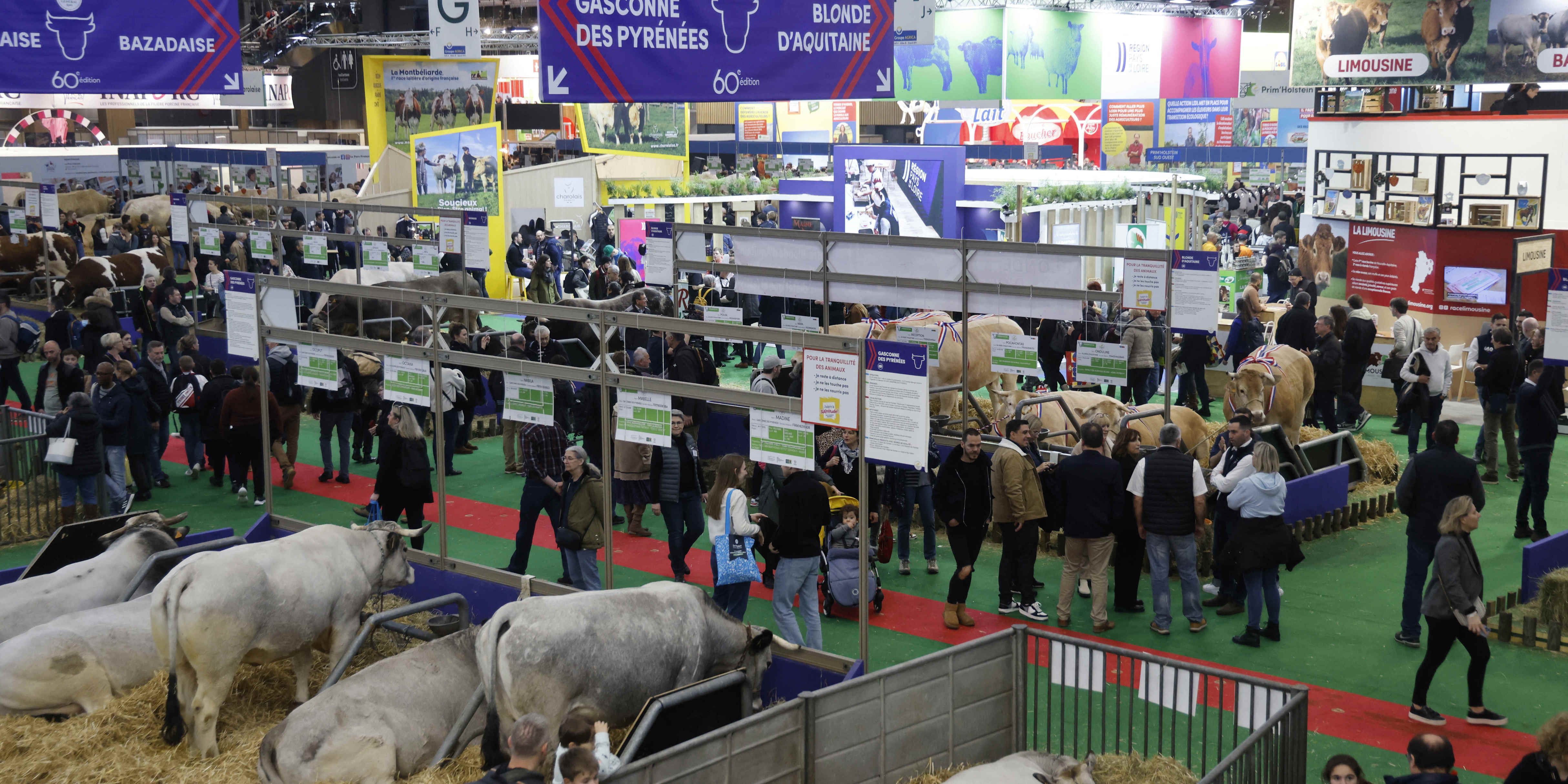 Salon de l’Agriculture : plusieurs pistes à l’étude pour pallier l ...
