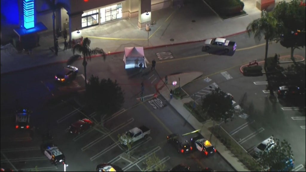 Sheriff's detectives intervene in San Fernando Valley shopping center ...