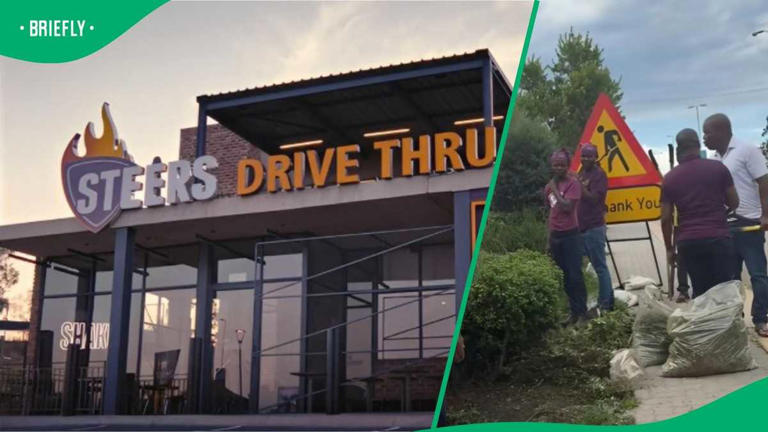 'Not good enough': Steers' response to viral gardening video causes a ...