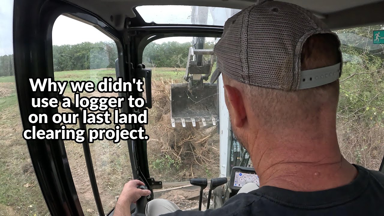 Why we chose not to hire a logger to clear the trees
