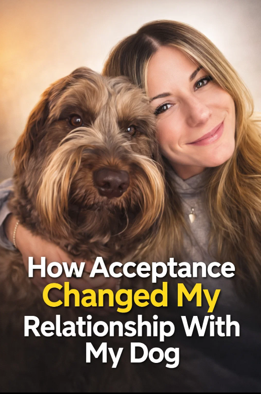 Living with a reactive dog: Why perfection isn’t the goal
