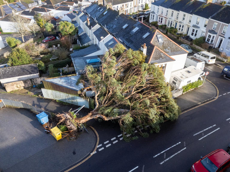 Storm Ingrid to bring heavy rain and winds to UK