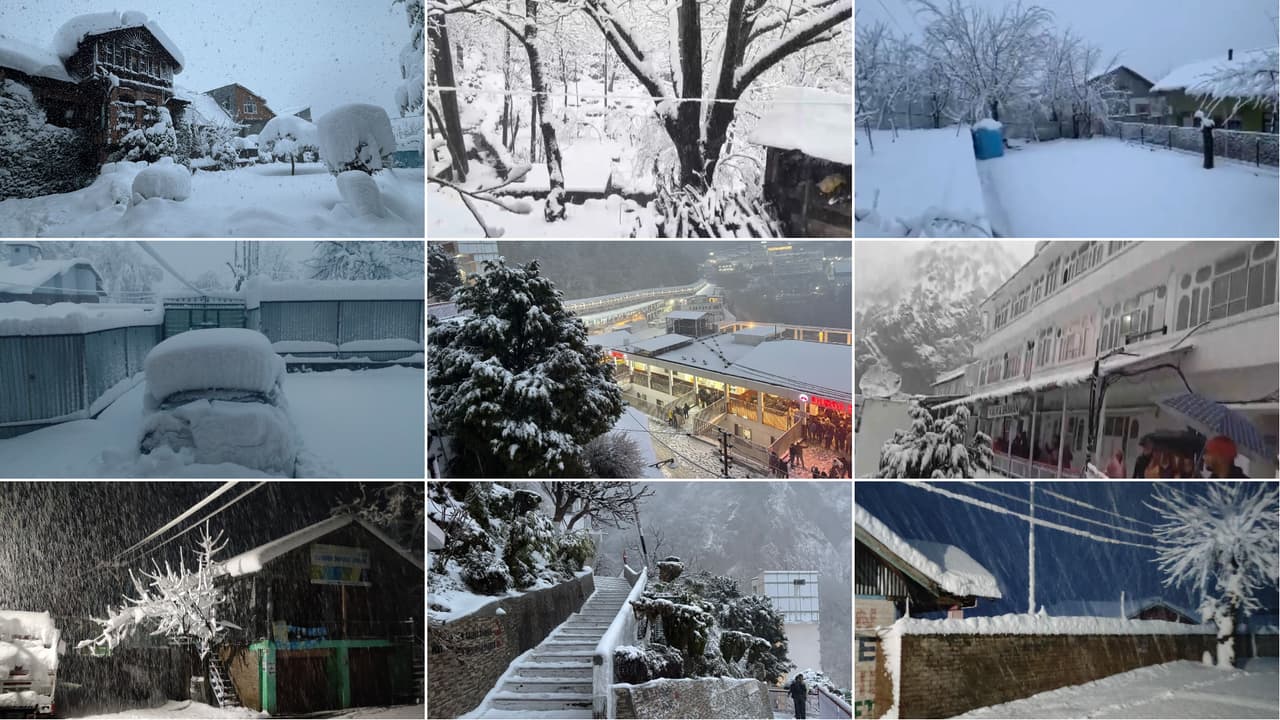 Kashmir snowfall in pics: Season's first snowfall blankets J&K, brings ...