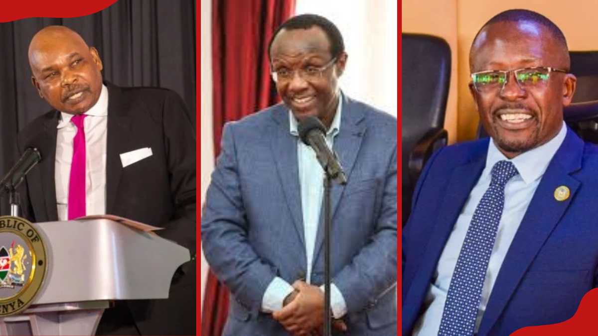 List of William Ruto's 21 advisors rendered jobless by High Court verdict