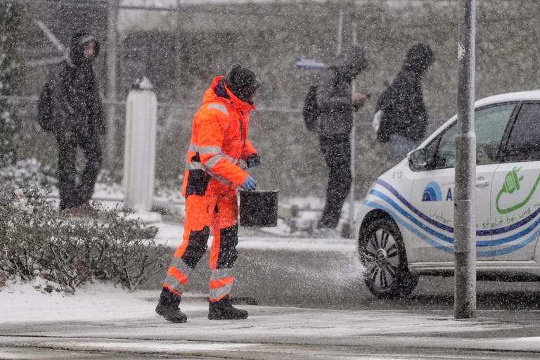 Experts issue warning over use of salt to tackle snow and ice at home
