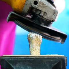 High heels made using a chicken foot? #fblifestyle