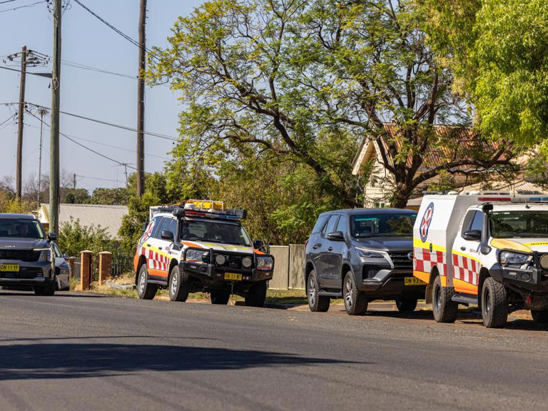 Shock DV detail in horror triple shooting