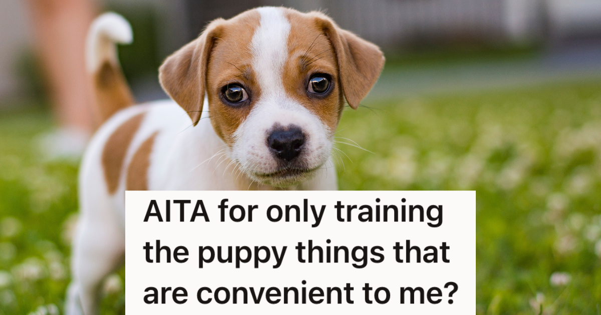 Sister wants her to train her puppy, but she already told her she had ...