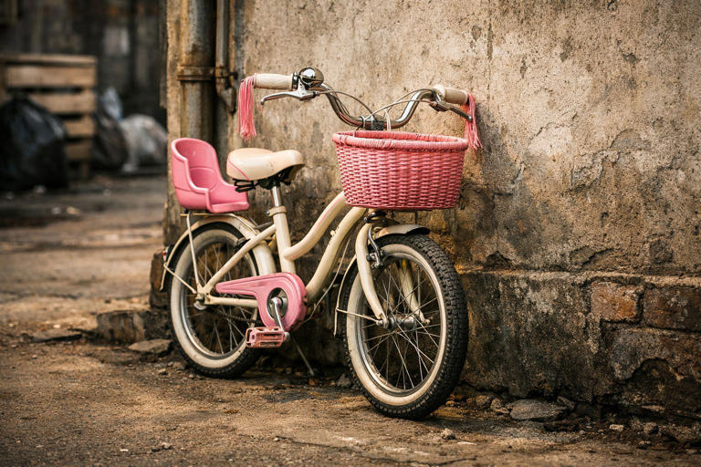 Le fossé du genre : pourquoi les femmes boudent-elles la petite reine