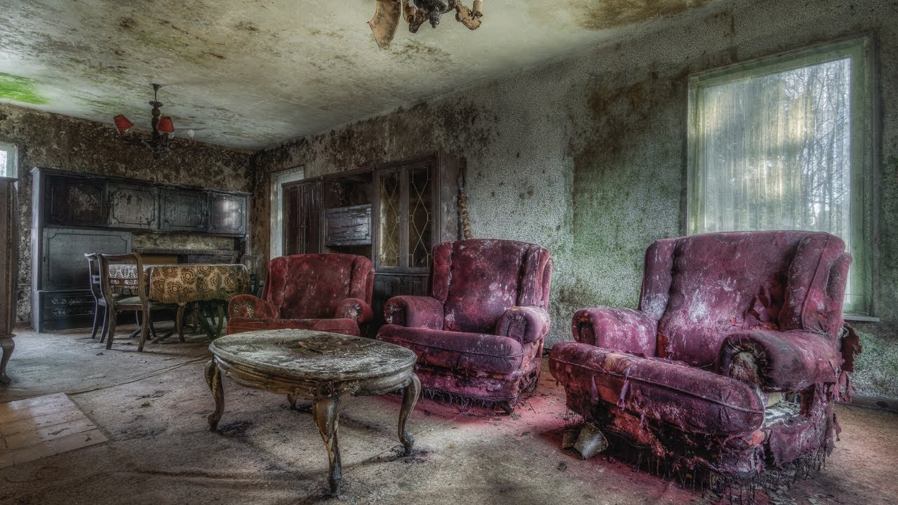 What happened inside this abandoned home… mold took control